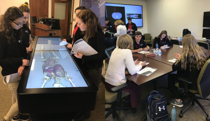 High school students get a taste of imaging activities - Allied Health ...