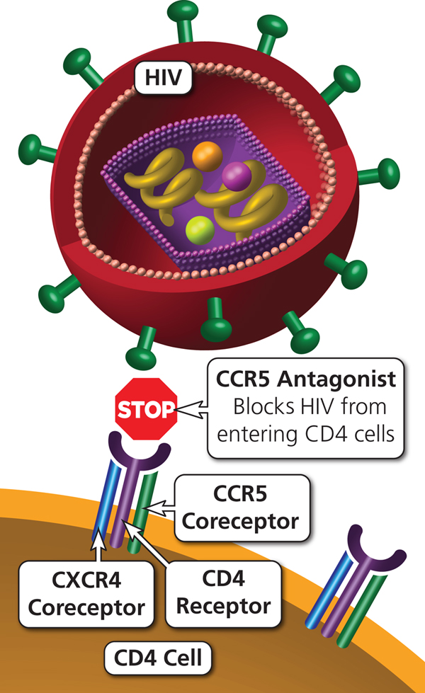 Pharm to Exam Table: Monoclonal Antibodies Make Their Way into HIV ...